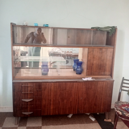 Пробалтиканики лакровинние