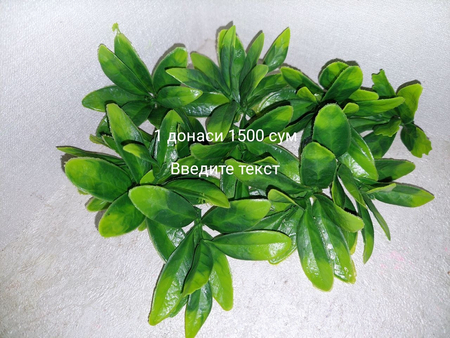 Искуственная зелен для мыльных букетов