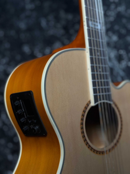 (MUSIC BRAND) Tagima Gitara