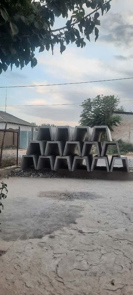 Kalodis va latoklar