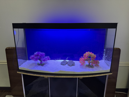 Akvarium sotiladi