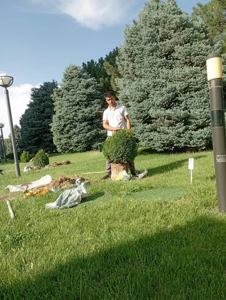 Barcha turdagi archa va mevali koʻchatlar sotiladi