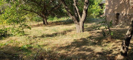 Parkentda uy sotiladi pul zarurligi uchun