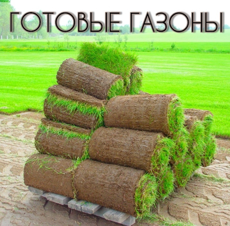 Газоны. Посадка Газона из семена, укладка готового Газона .