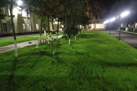 Gazon o'rish va dorilash xizmati