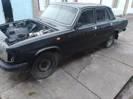 31029 qora volga