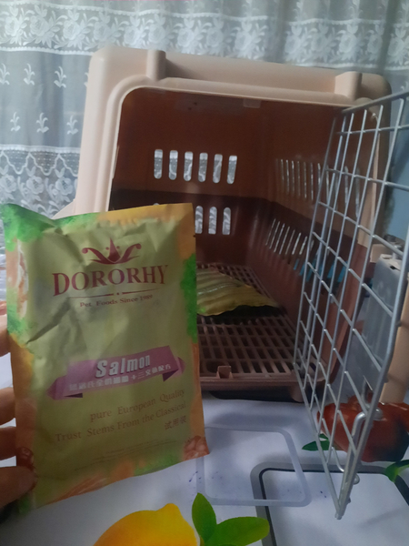 Континер для животный состояна новый
