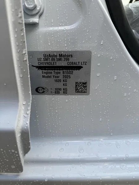 Cobalt stayle plus full 2024/25