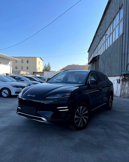 BYD song plus chempion 2024