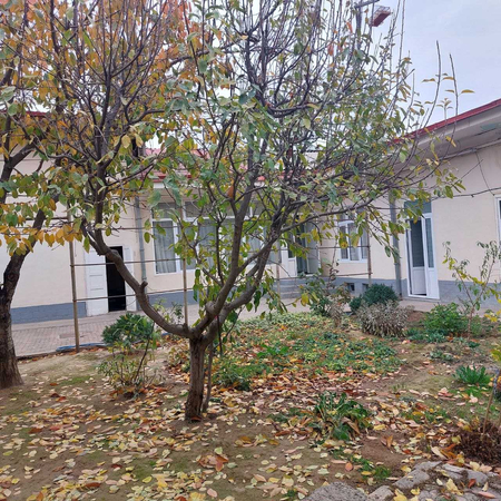 Сдается в аренду участок для семьи