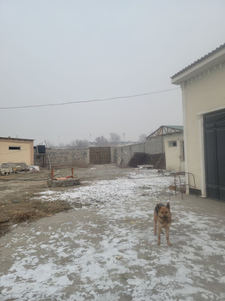 Продаётся готовый бизнес.
