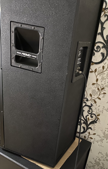 Peavey двайник