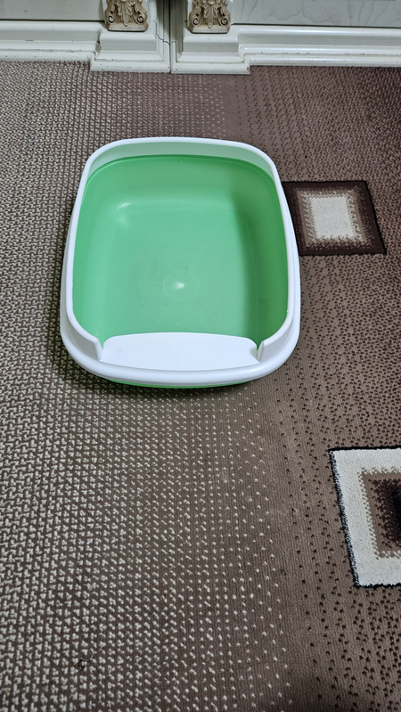 Mushuk Latok sotiladi xolari ideal