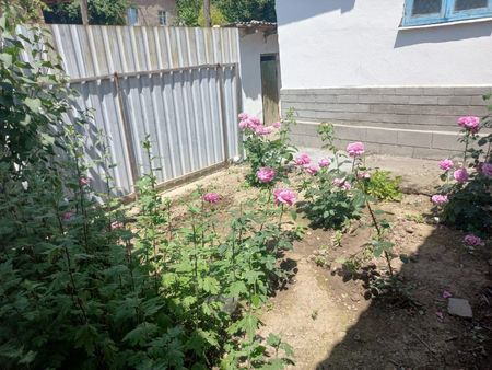 Продается дом. Поселок Красногорск