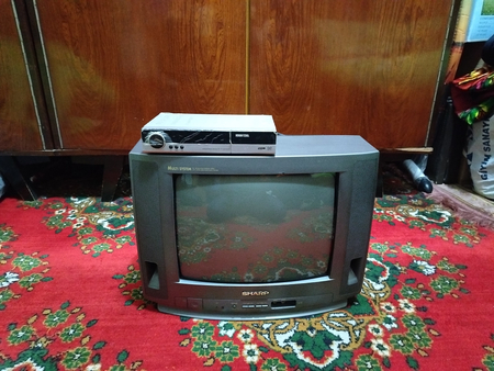 Televizor tuneri bilan