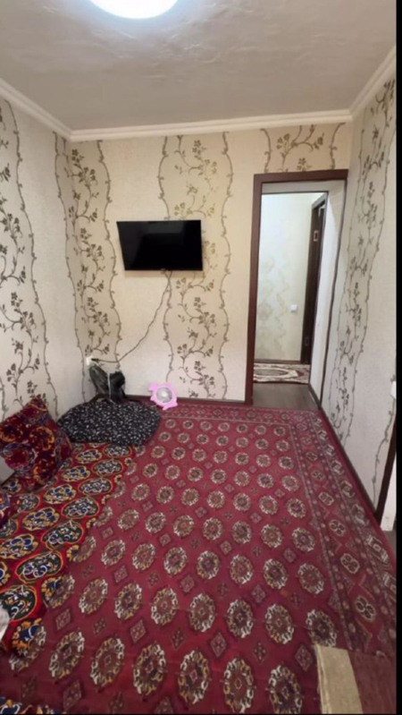 Arenda sergili 5 bekat oyla qizlar bollar ga
