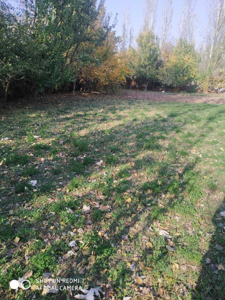 uchaska sotiladi Oq oltin mfy anday q/q arentr palklenika orqasida