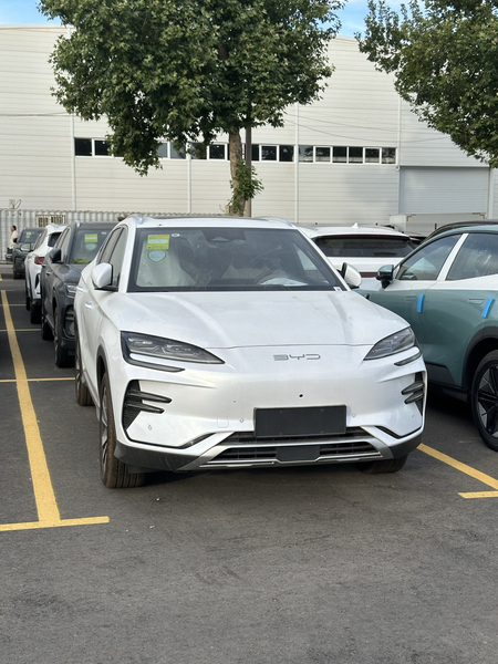 BYD Chempion 2024 yil