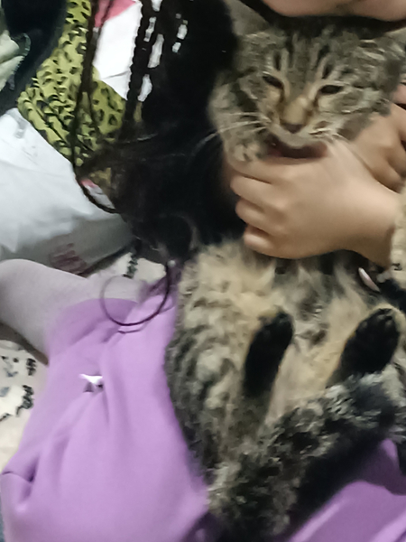 Ollohdan qoʻrqadigan insonlarga beriladi yaxshi qarab boqadigan insonl