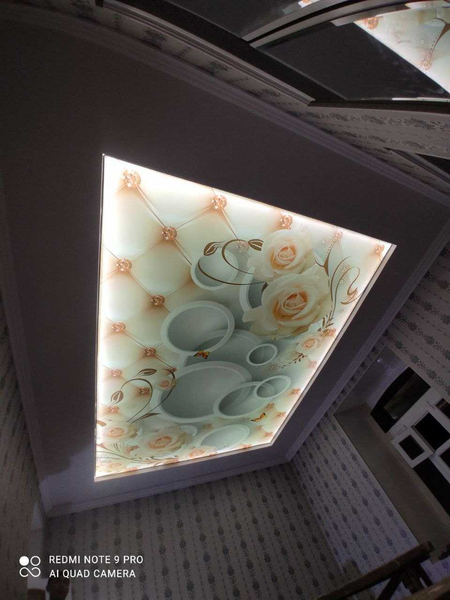 Natijnoy potolok 55000