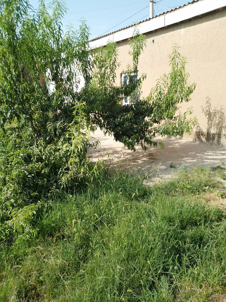 Yangi qurulishdan uy xovli sotilyapti 10 sutik