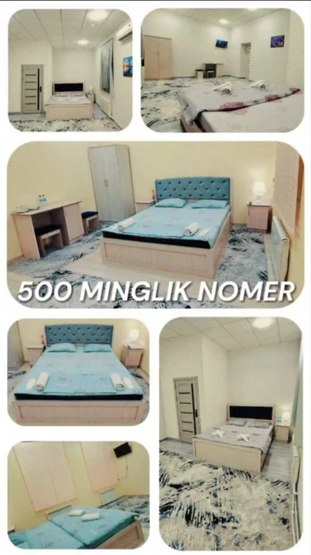 Bez zaks gastinitsa arzon narxlarda