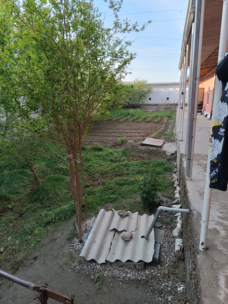 Xovli sotiladi 10sotix