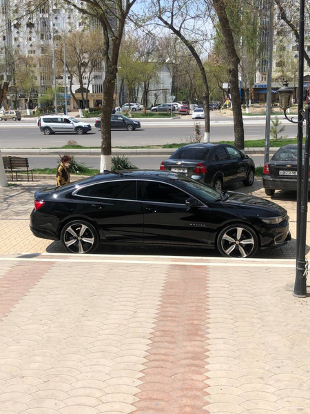 Автопрокат Ташкент|Avto ijara|Rent a Car|Rent Car|Gentra|Malibu Rent