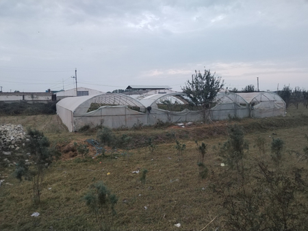 Parnik sotiladi kontinerdan qilingan ayrim sabalarga kora sotilgapti