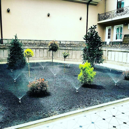 Живой газон, чим