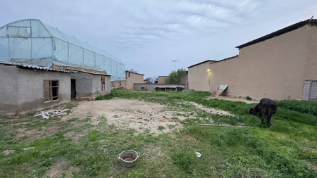 Продаётся земля 8 суток старый 16 улица чагатай махалла