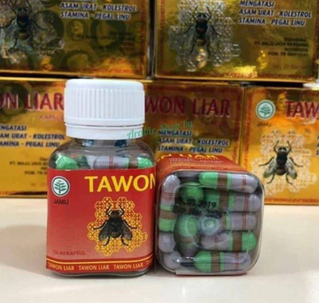Tawon Liar arginal indaneza