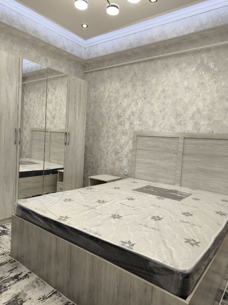 Сергили 3 а Греен хаус 2 хона 550$