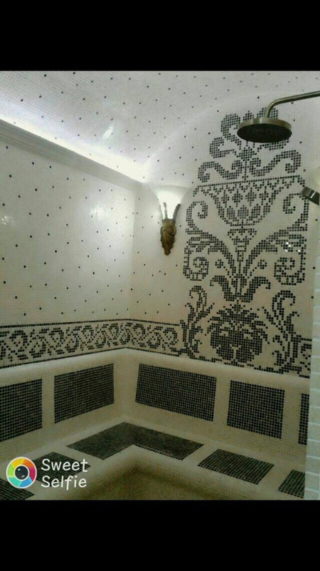 Mayolika i mosaic (AI mosaic)