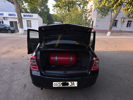Cobalt 2013 metan