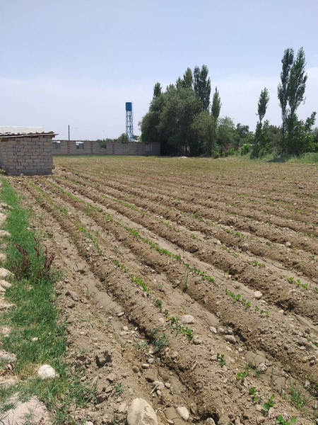 Uchastka sotiladi