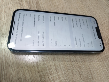 iPhone 13 pro max