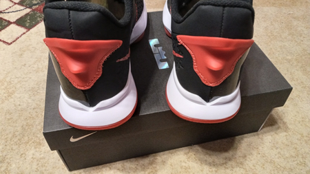 Новые кроссовки Nike Lebron Witness 5, 45