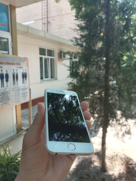 IPhone 6 golden kh/a