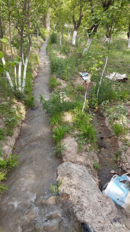 Bog', dacha sotiladi
