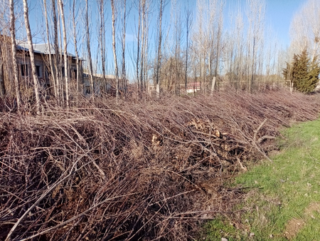 O'tin tekinga / Дрова бесплатно