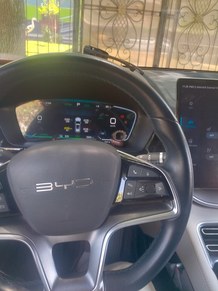 BYD. CHimpyon  фақат варяантга