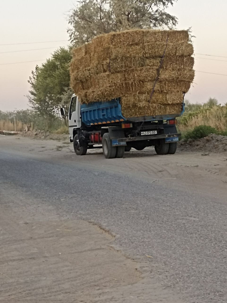Isuzu.kelishilgan narhda