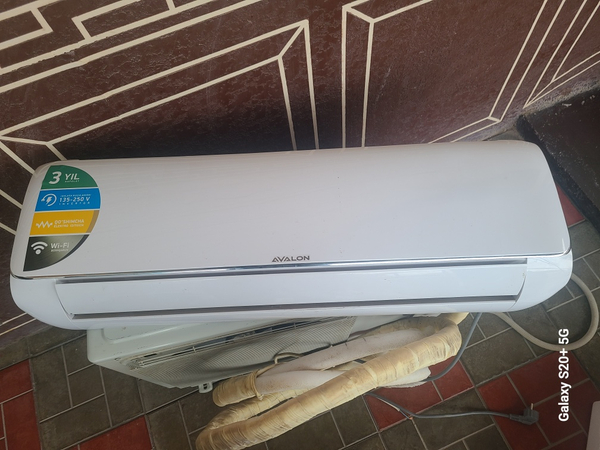 avalon kanditsener 12lik