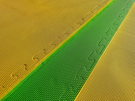 Татами. Спортивный мат. 1x1. 2sm.2.5sm.3sm.4sm Optom!