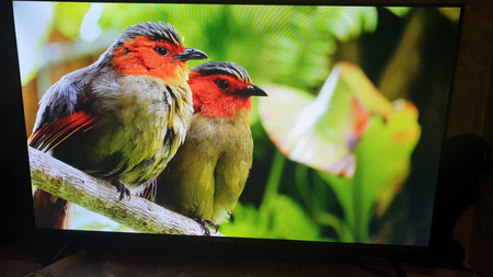 Телевизор Samsung 43 SMART.TV G 7000   договорная