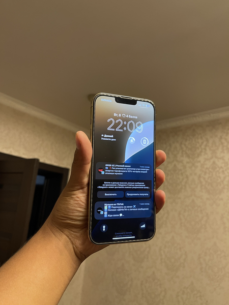 Iphone13 pro max