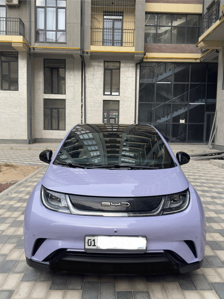 BYD Dolphin Fashion