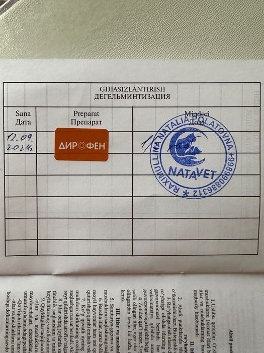 Кошка в добрые руки