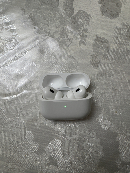 Air Pods Pro2, type-c
